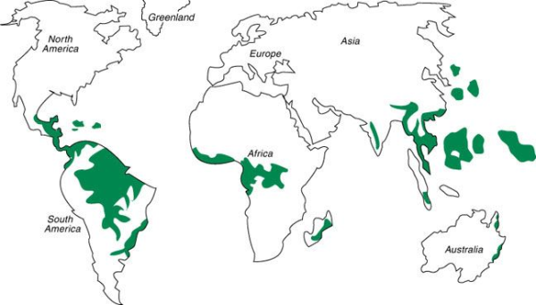 World Climate Zones Maps - Tropical Temperate Equatorial Tundra