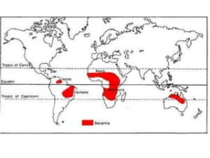 World Climate Zones Maps - Tropical Temperate Equatorial Tundra