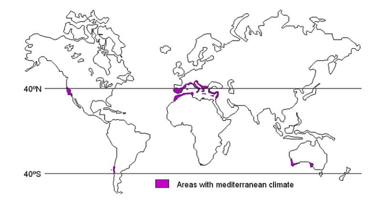 World Climate Zones Maps - Tropical Temperate Equatorial Tundra