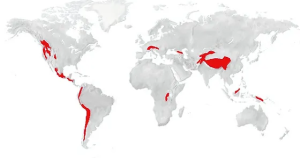 World Climate Zones Maps - Tropical Temperate Equatorial Tundra