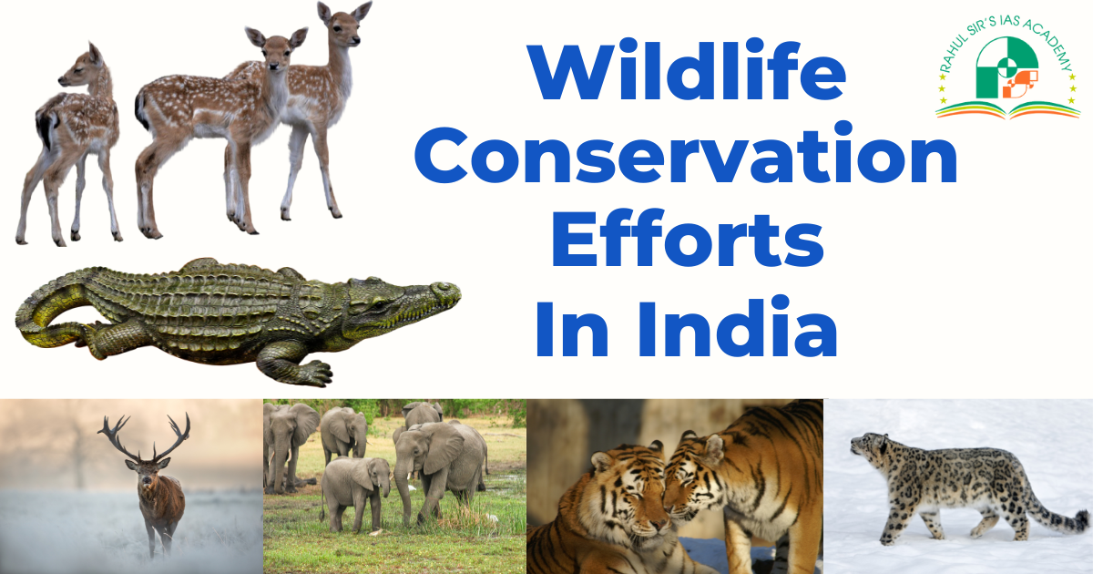 Wildlife Conservation Efforts In India