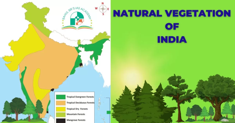 Natural Vegetation of India - Tropical Rainforests Montane etc